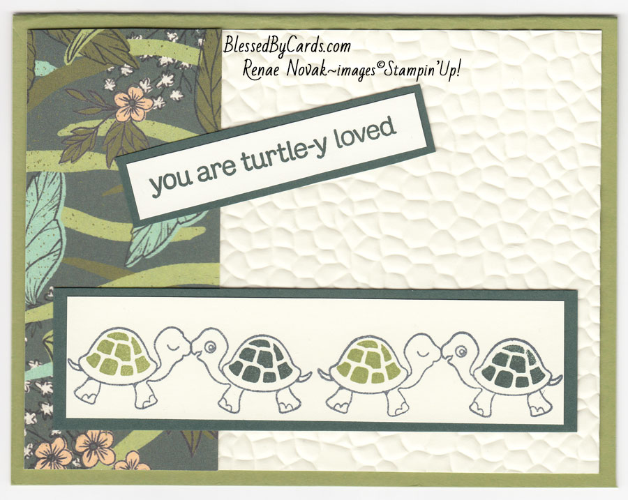 You are Turtle-y loved! – Blessed By Cards w/Renae Novak