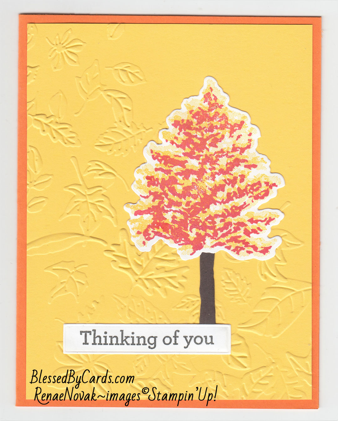 Leaf Fall and Beauty of Friendship – Blessed By Cards w/Renae Novak