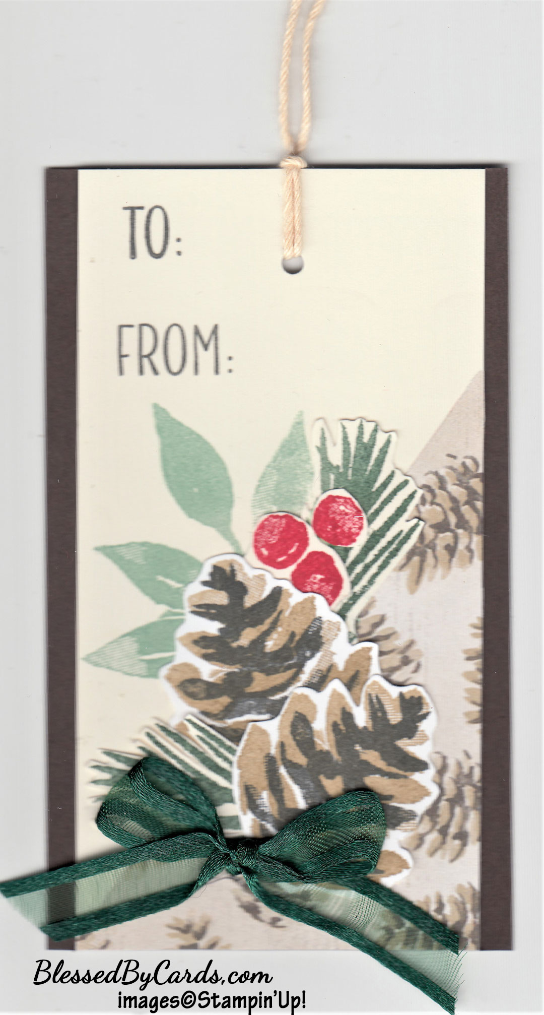 Christmas-Season-tag-2 – Blessed by Cards w/Renae Novak