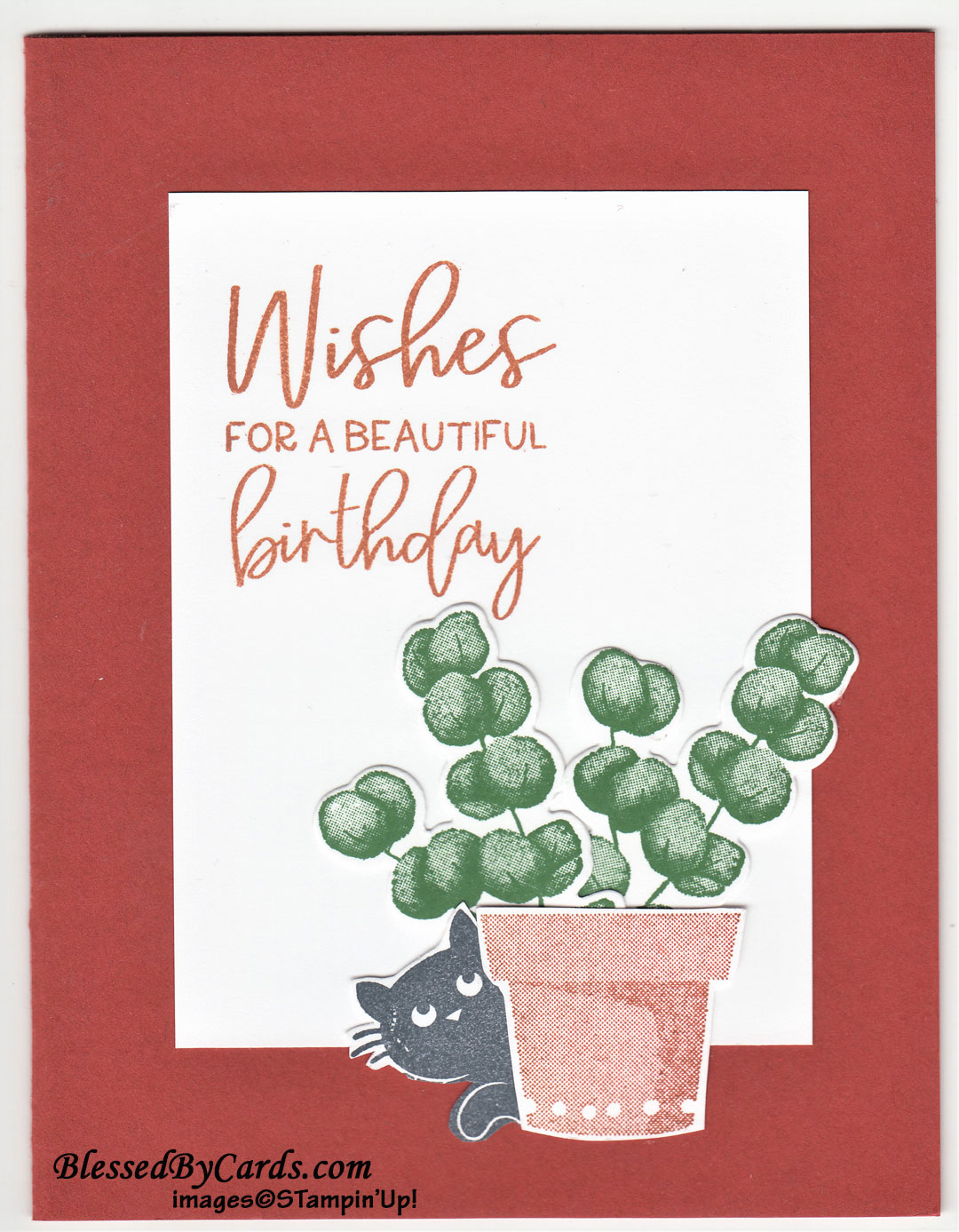 Happy Birthday Love Cats