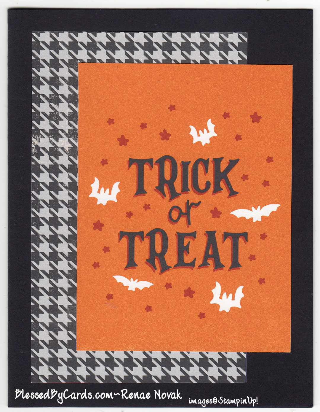 Trick or Treat~Them Bones Designer Series Paper – Blessed by Cards w ...